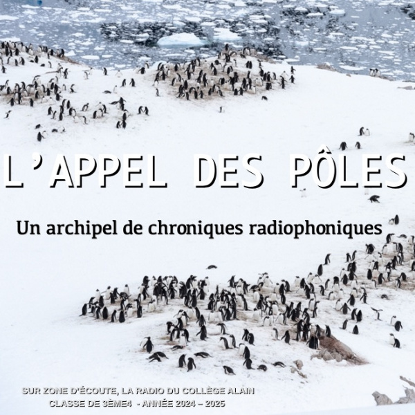 L’APPEL DES PÔLES #2 - Collège ALAIN